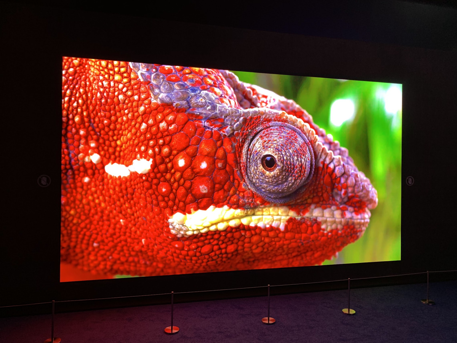 How to Remove Moiré Effect in LED Screen Photography - Rigard